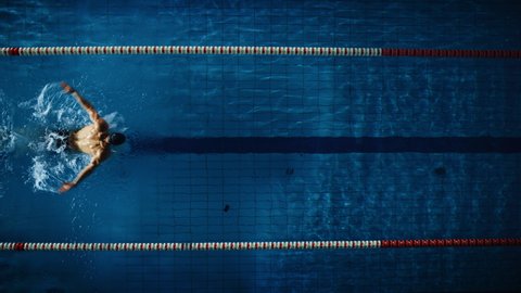 Aerial Top View Male Swimmer Swimming Stock Footage Video (100% Royalty ...