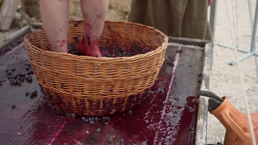 Grapetreading Grapestomping Traditional Winemaking Grapes Trampled ...