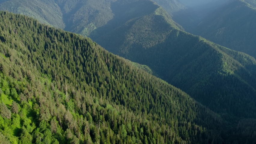 Forest and Mountain Aerial View Stock Footage Video (100% Royalty-free ...