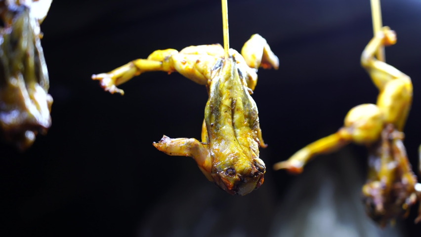 Frog Meat Stock Video Footage - 4K and HD Video Clips | Shutterstock