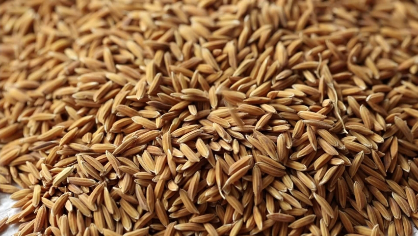 79 Rice bran white background Stock Video Footage - 4K and HD Video ...