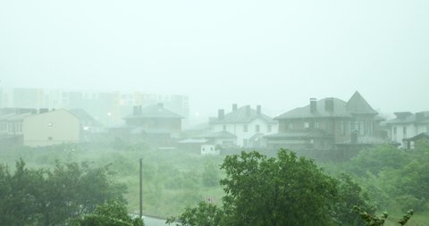 Rain Outside Wind Bending Tree Trunks Stock Footage Video (100% Royalty ...