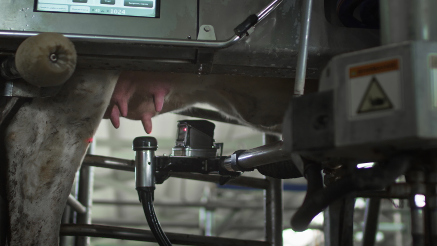 Automatic Machine Robot for Milking Stock Footage Video (100% Royalty ...