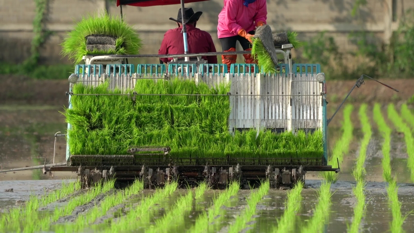 105 Rice transplanter machine Stock Video Footage - 4K and HD Video ...