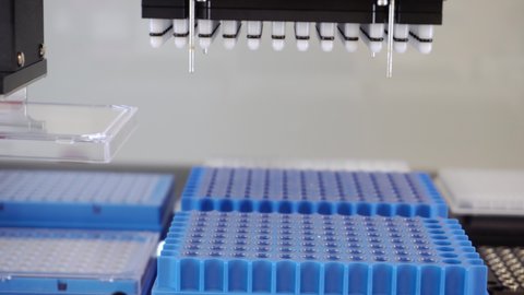 Automation Clinical Laboratory Pipetting Robot Laboratory Stock Footage ...