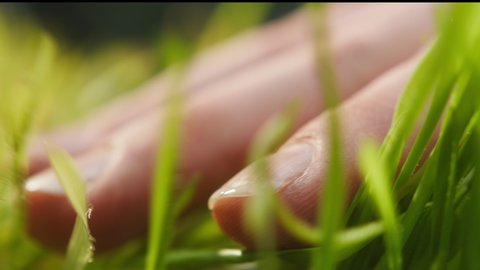 Fingers Touching Wet Fresh Green Grass Stock Footage Video (100% ...