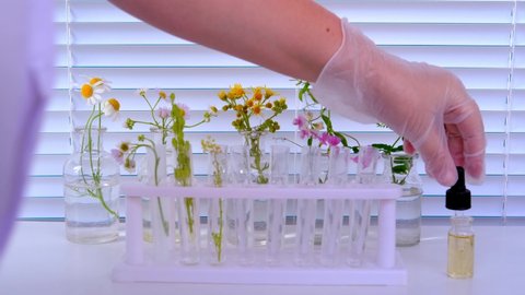 Woman Scientist Prepares Sample Plants Analysis Stock Footage Video ...