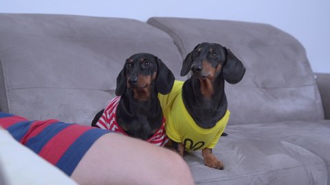 Broken leg funny Stock Video Footage - 4K and HD Video Clips | Shutterstock