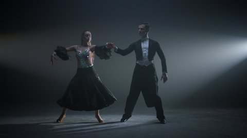 Full Length Professional Dance Couple Standing Stock Footage Video (100 ...
