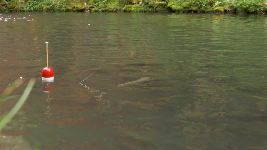 Fish Bobber Water Stock Video Footage - 4K and HD Video Clips ...