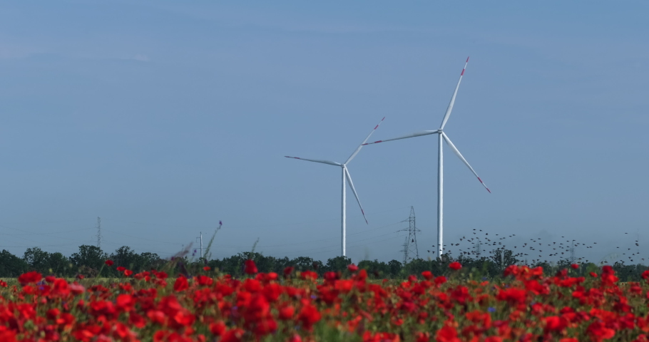 Wind turbine pole Stock Video Footage - 4K and HD Video Clips ...