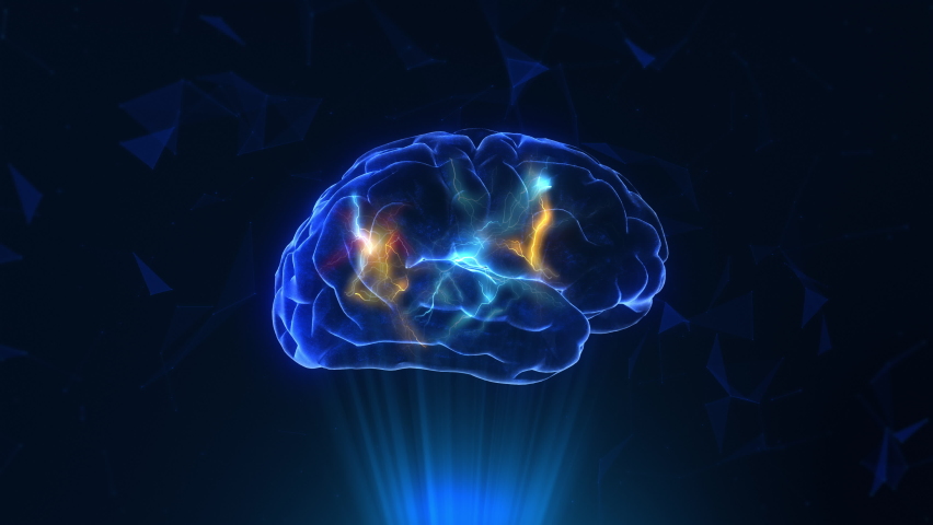 Animation of Digital Rotating Brain Stock Footage Video (100% Royalty ...