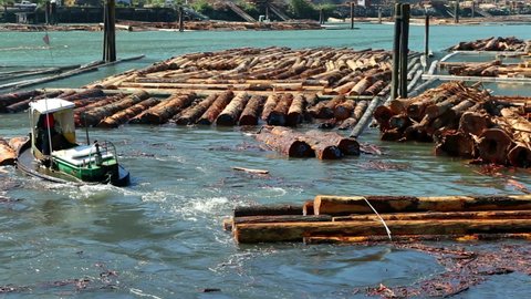 Lumber Industry Logging Tug Boat Moving Stock Footage Video (100% ...