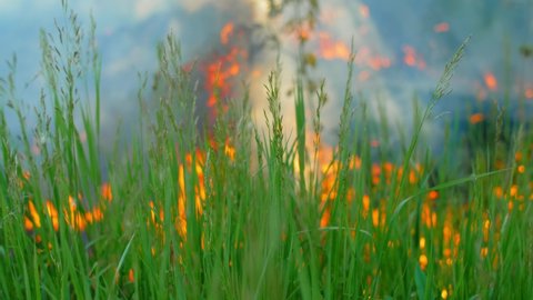 Air Pollution Caused By Fire On Stock Footage Video (100% Royalty-free ...