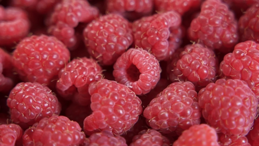 Close up Rotation Loopable Raspberry. Stock Footage Video (100% Royalty ...
