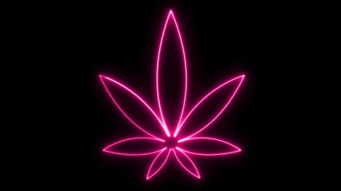 375 Neon Marijuana Stock Video Footage - 4K and HD Video Clips ...