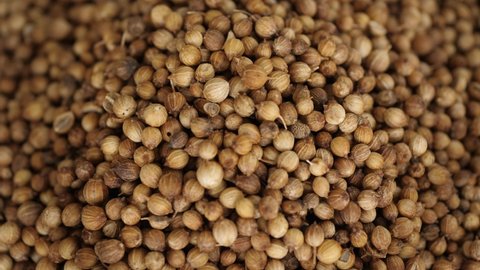 Spices Coriander Seed Spinning Turntable Background Stock Footage Video ...