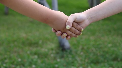 Tree handshake Stock Video Footage - 4K and HD Video Clips | Shutterstock