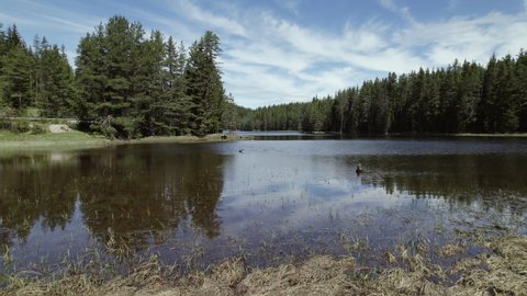 4,452 Flood in thailand Stock Video Footage - 4K and HD Video Clips ...