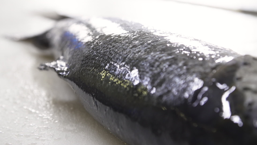 Presentation Head Dead Salmon Towards Body Stock Footage Video (100% ...