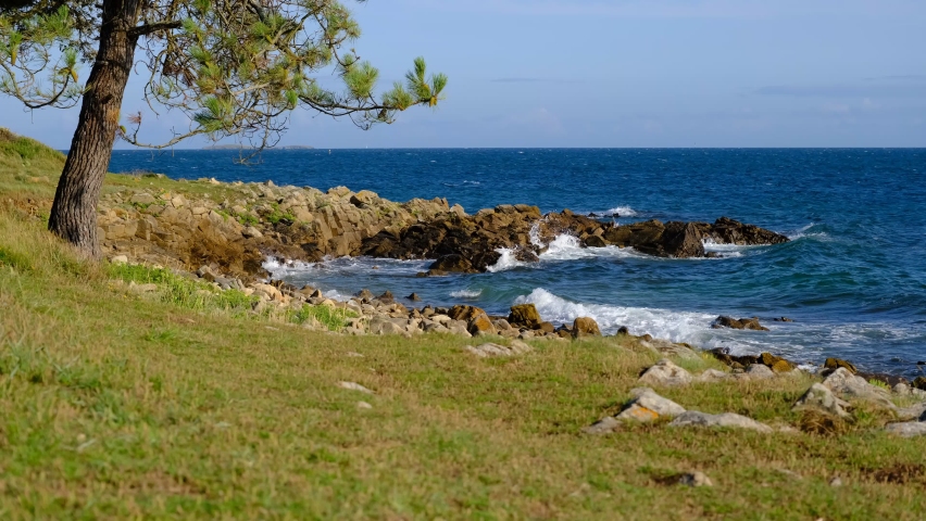 Brittany Bay Park Stock Video Footage - 4K and HD Video Clips ...