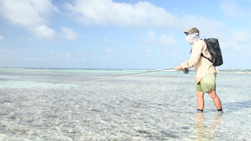 Fly Fishing Videos: 4K and HD Video Clips for Download