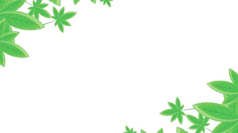 Marijuana leaf border Stock Video Footage - 4K and HD Video Clips ...