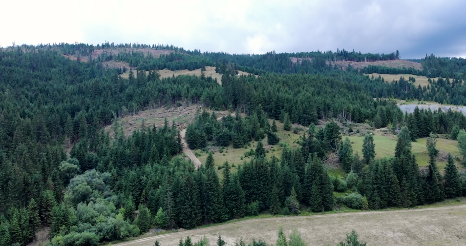 Deforestation. Birds Eye View of Stock Footage Video (100% Royalty-free ...