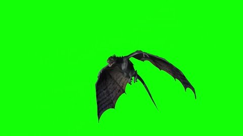 116 Green Fire Breathing Dragon Stock Video Footage - 4K and HD Video ...