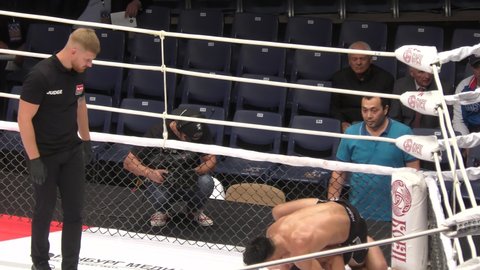 Mixed wrestling Stock Video Footage - 4K and HD Video Clips | Shutterstock