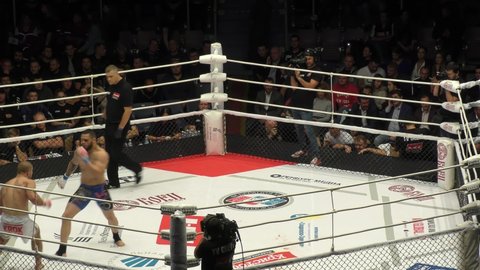 Mixed wrestling Stock Video Footage - 4K and HD Video Clips | Shutterstock