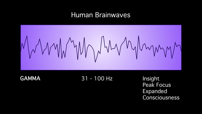 Gamma Human Brain Waves Diagram Stock Footage Video (100% Royalty-free ...