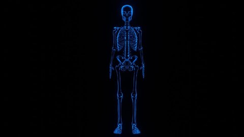 Skeleton Rotation Anatomy Bone 3d Cgi Stock Footage Video (100% Royalty ...