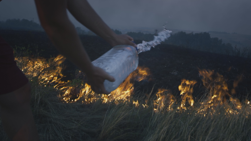 Forest Fire Videos: 4K and HD Video Clips for Download