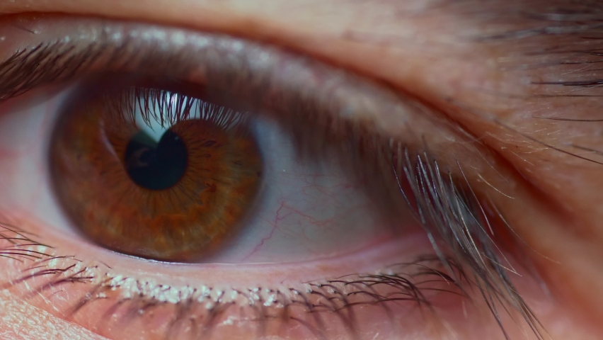 6,746 Woman Side Eye Stock Video Footage - 4K and HD Video Clips ...