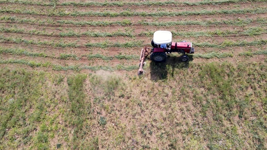 aerial view harvesting fodder crops that Stock Footage Video (100% ...