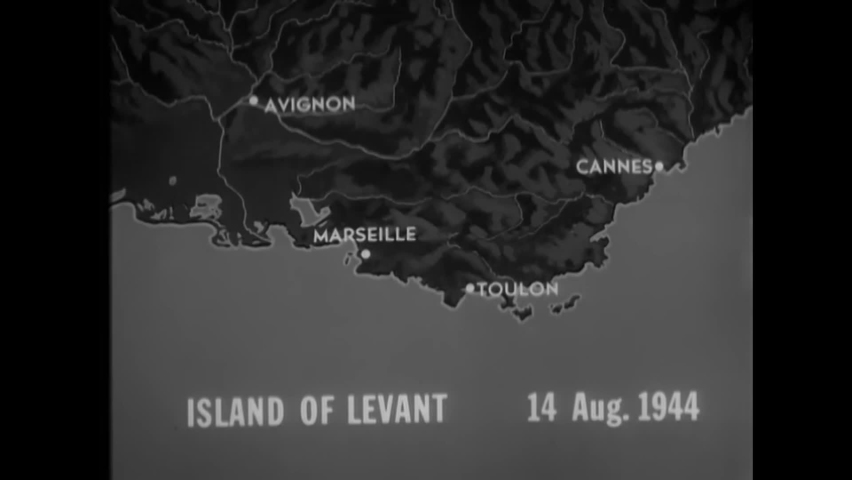 Levande Stock Video Footage - 4K and HD Video Clips | Shutterstock