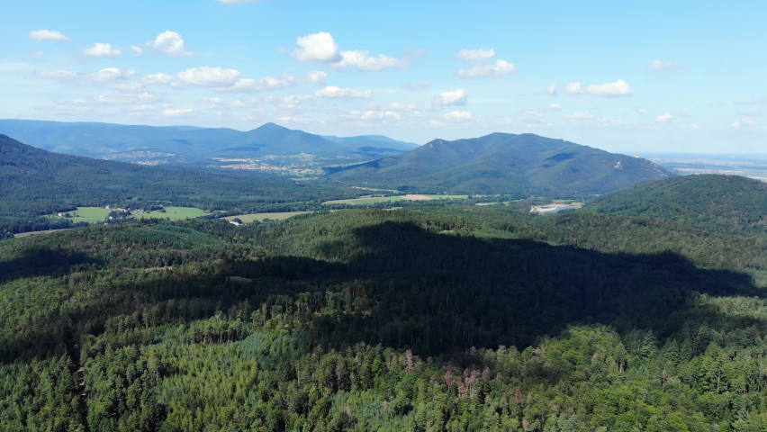 Umbra forest Stock Video Footage - 4K and HD Video Clips | Shutterstock