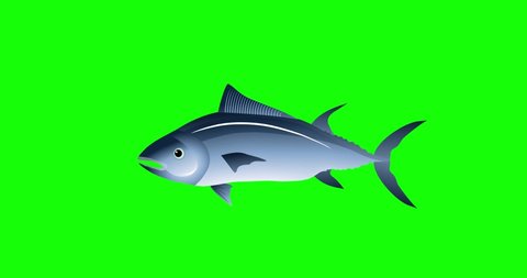 Tuna Fish Swimming Animation 2d Animation Stock Footage Video (100% ...