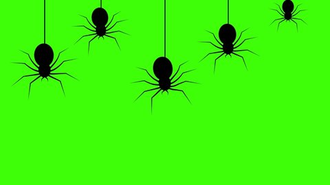 Halloween Spider Green Screen Motion Stock Footage Video (100% Royalty ...