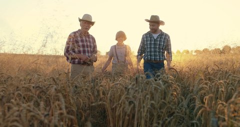 Three Male Generations Farmers Walking Together Stock Footage Video ...