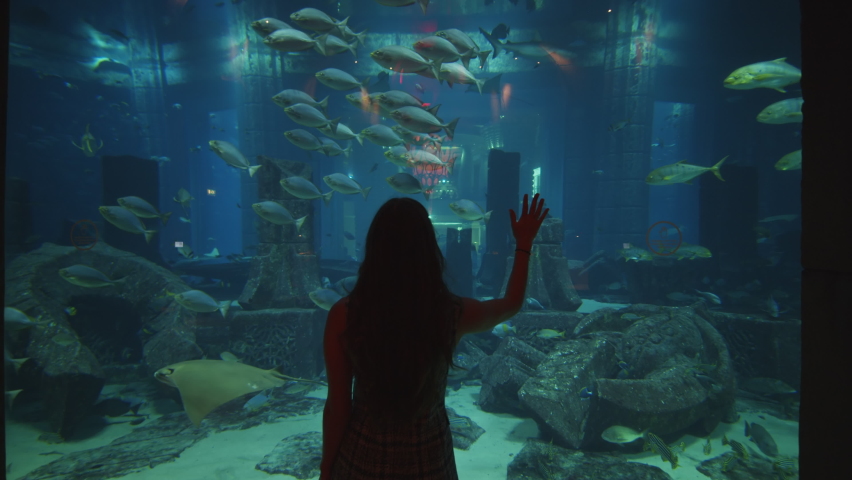 Fish Tank Back Stock Video Footage - 4K and HD Video Clips | Shutterstock
