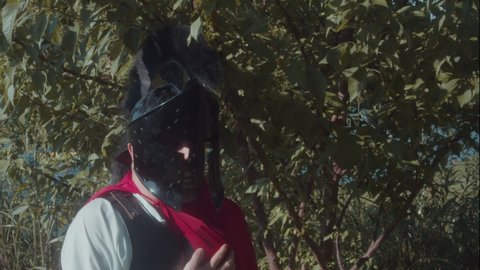 17 Gladiator Scream Stock Video Footage - 4K and HD Video Clips ...