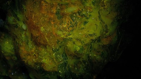 Torch Lights Slime Dripping Down Alien Stock Footage Video (100% ...