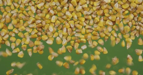 1,967 Green screen grain Stock Video Footage - 4K and HD Video Clips ...