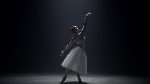 Beautiful Ballet Dancer Standing Under Spotlight Stock Footage Video ...
