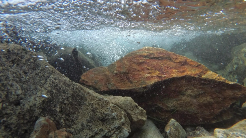 River Bed Underwater Stock Video Footage - 4K and HD Video Clips ...