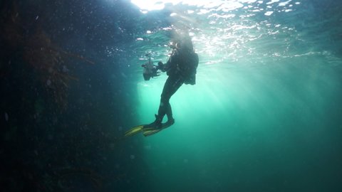Diverin Thickets Grass Clear Water Against Stock Footage Video (100% ...