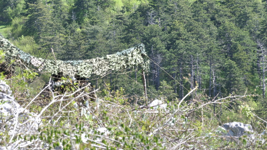 Mimetic texture Stock Video Footage - 4K and HD Video Clips | Shutterstock