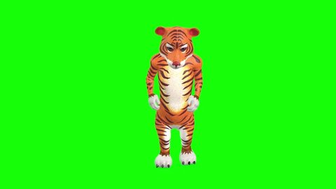 Tiger green screen Stock Video Footage - 4K and HD Video Clips ...